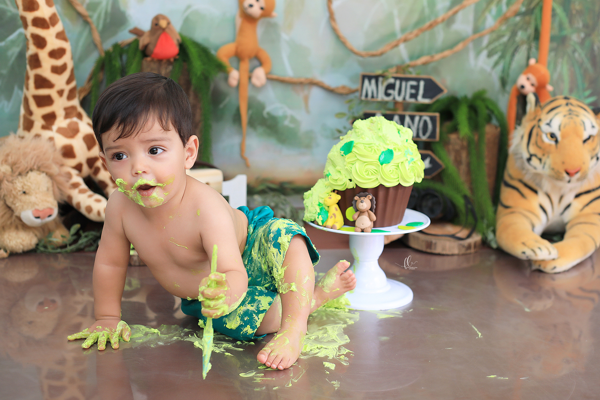 Smash The Cake - Smash the Cake Safari - Miguel - MORADA NOVA DE MINAS - MG