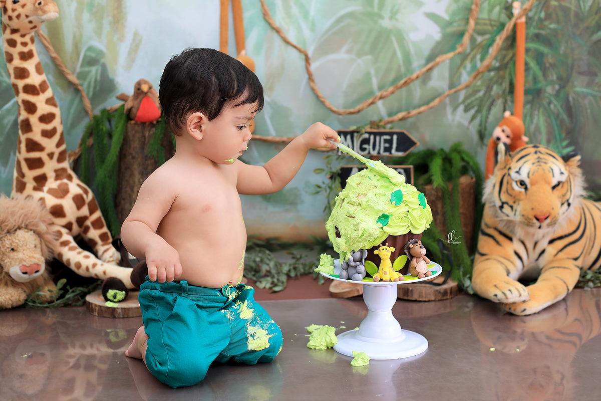 Smash The Cake - Smash the Cake Safari - Miguel - MORADA NOVA DE MINAS - MG