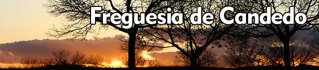 JUNTA DE FREGUESIA DE CANDEDO