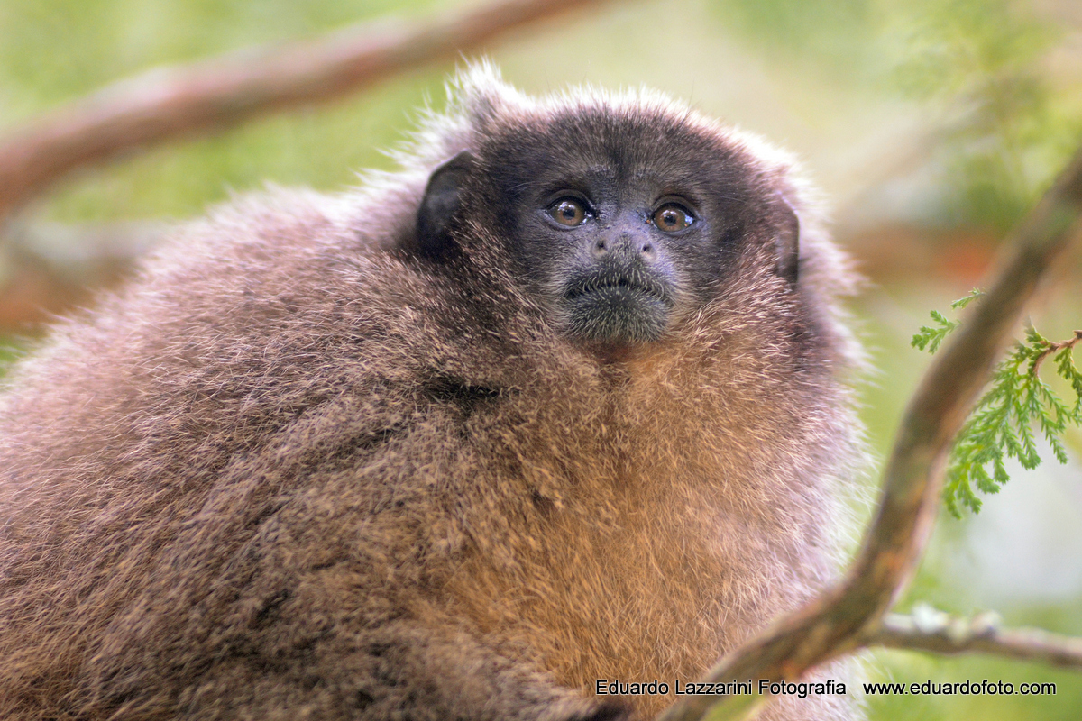 Viagens e Natureza - Vale do Matutu - Aiuruoca MG