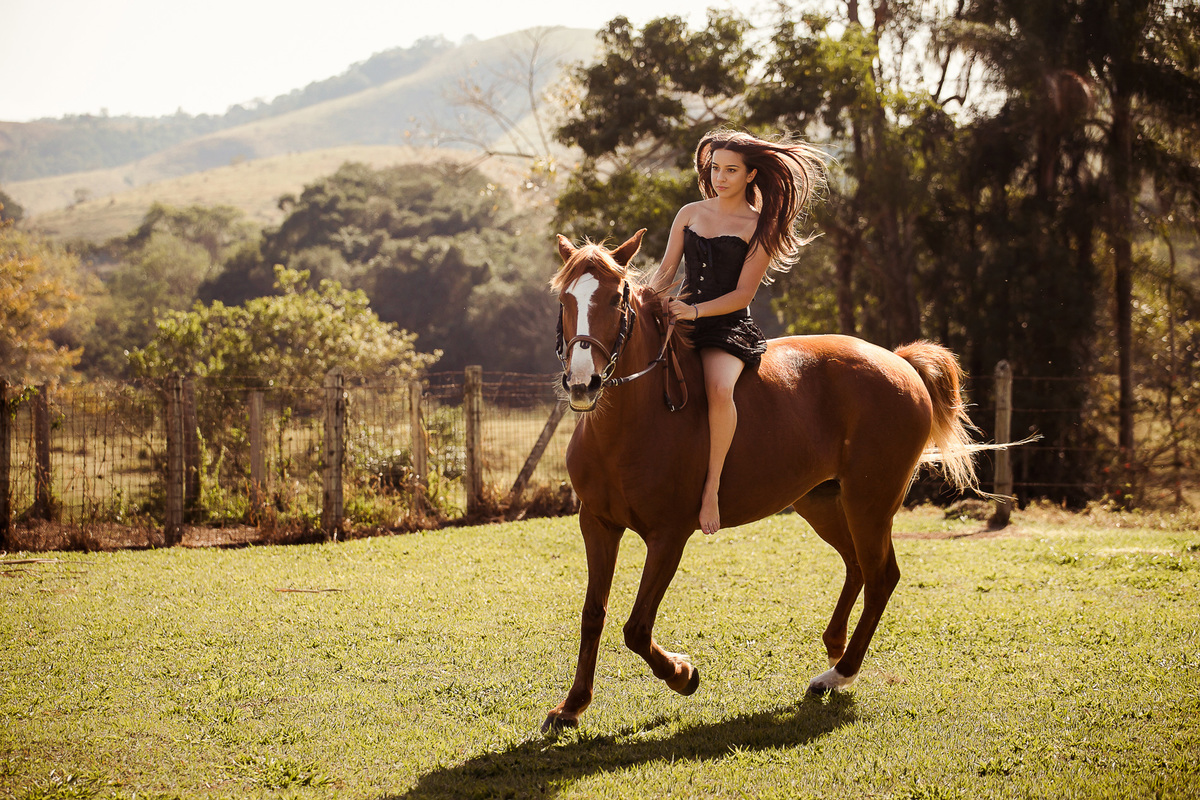 15 ANOS ( DEBUTANTE) - Maria Laura #15 - Haras