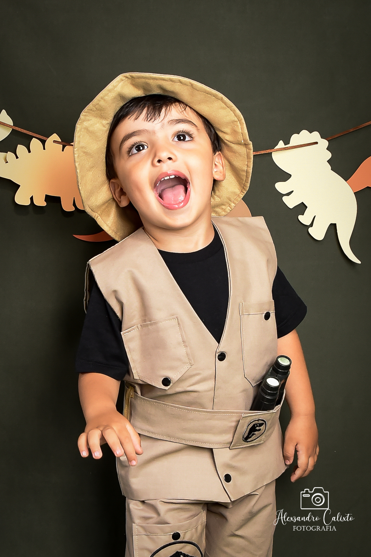 Mini Ensaios Infantis - Ensaio do Pedro 3 Anos - Dinossauros