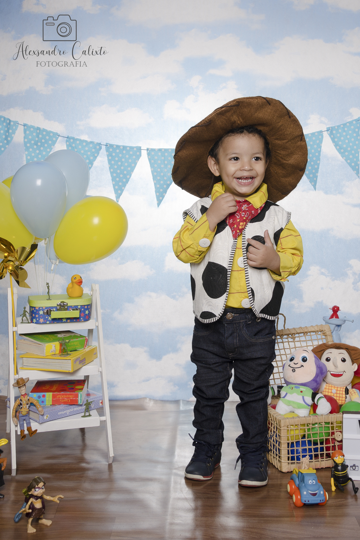 Mini Ensaios Infantis - Mini Ensaio - Vitor Toy Story 2 Anos